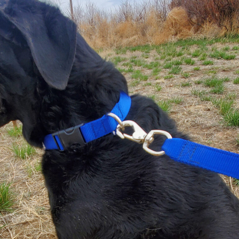 Shop – USA K9 Outfitters